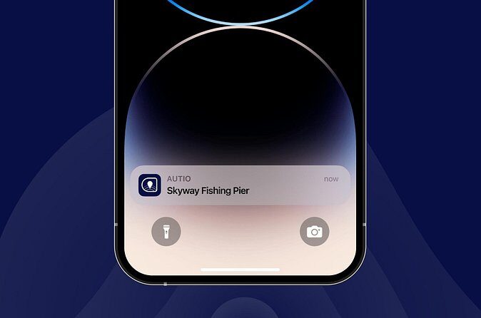 Discover Tampa with Local Stories from a Virtual Tour - FAQs