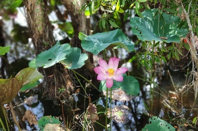 Discover Tan Lap Floating Village from Ho Chi Minh city - FAQ