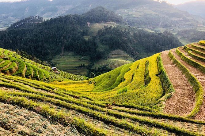 Discover the Beauty of Sa Pa: A One-Day Trek - Who Will Love This Tour?