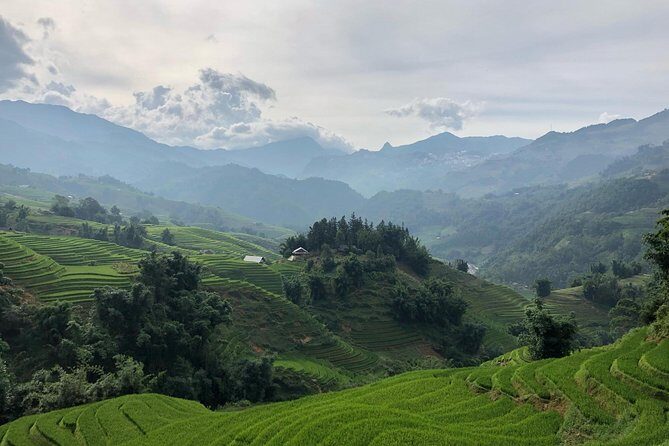 Discover the Beauty of Sa Pa: A One-Day Trek - The Sum Up