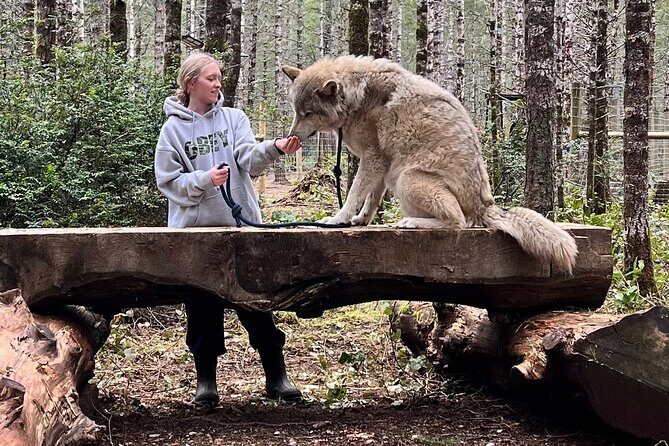 Discover the beauty of the wild & Roam in the spirit of the wolf - Final Thoughts: Who Will Love This Experience?