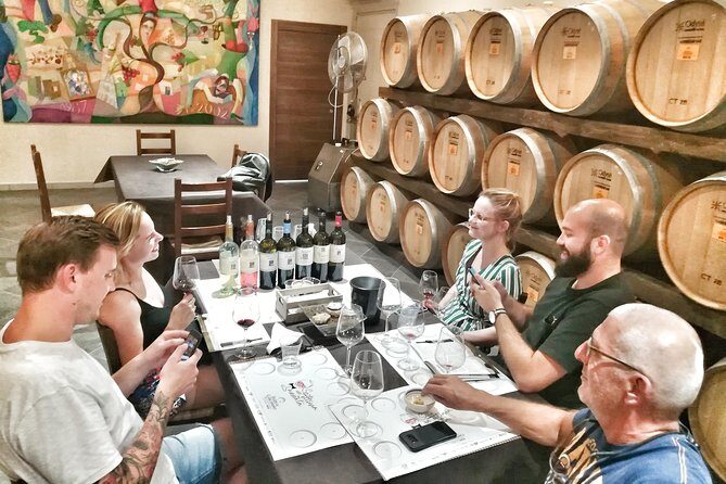 Discover the best cellars of Salento - Who Will Love This Tour?