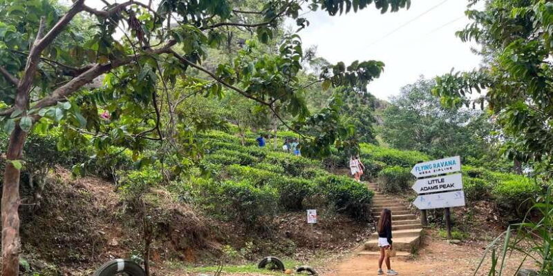 Discover the Best of Sri Lanka in 2 Days - An In-Depth Look at the 2-Day Sri Lanka Tour