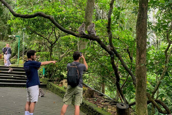 Discover The Best of Ubud: All-Inclusive and Private Guided Tour - The Sum Up