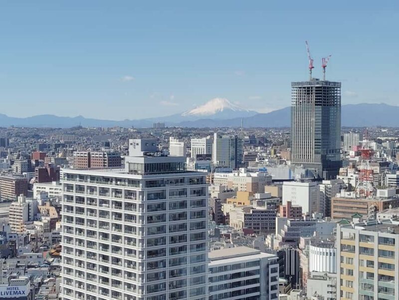 Discover the Best of Yokohama: 4.5-Hour Day Tour - The Final Stop: Minato-no-Mieru Oka Park