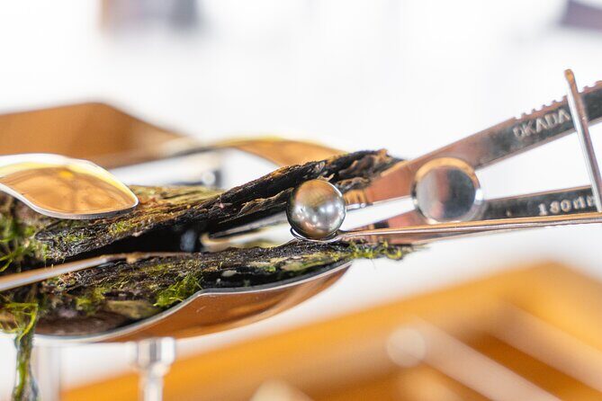 Discover the black pearl in Bora Bora - A Closer Look at the Bora Bora Pearl Farm Experience