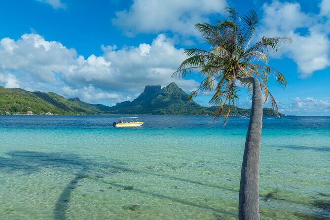 Discover the black pearl in Bora Bora - FAQ about the Bora Bora Pearl Farm Tour