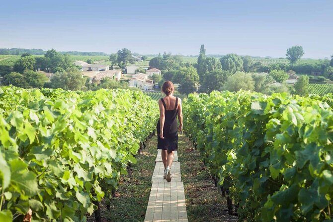 Discover The Cellars in The Heart of The Countryside in Champagne - Key Points