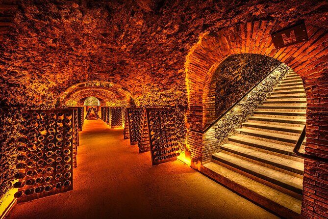 Discover The Cellars in The Heart of The Countryside in Champagne - A Closer Look at the Champagne Experience