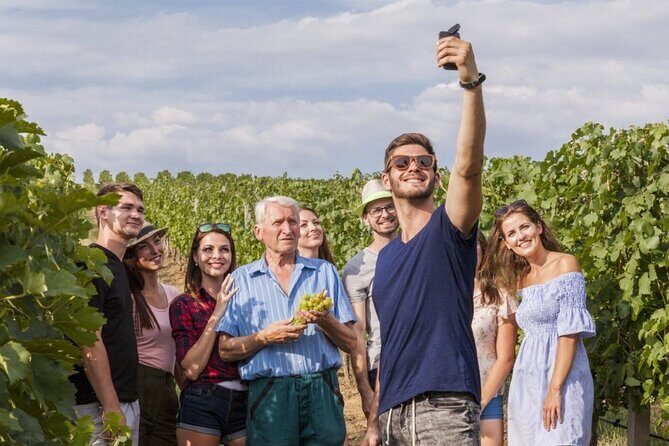 Discover The Cellars in The Heart of The Countryside in Champagne - The Sum Up