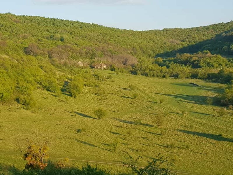 Discover the Charm of Guteria Hill/Sibiu Panorama - The Experience in Detail
