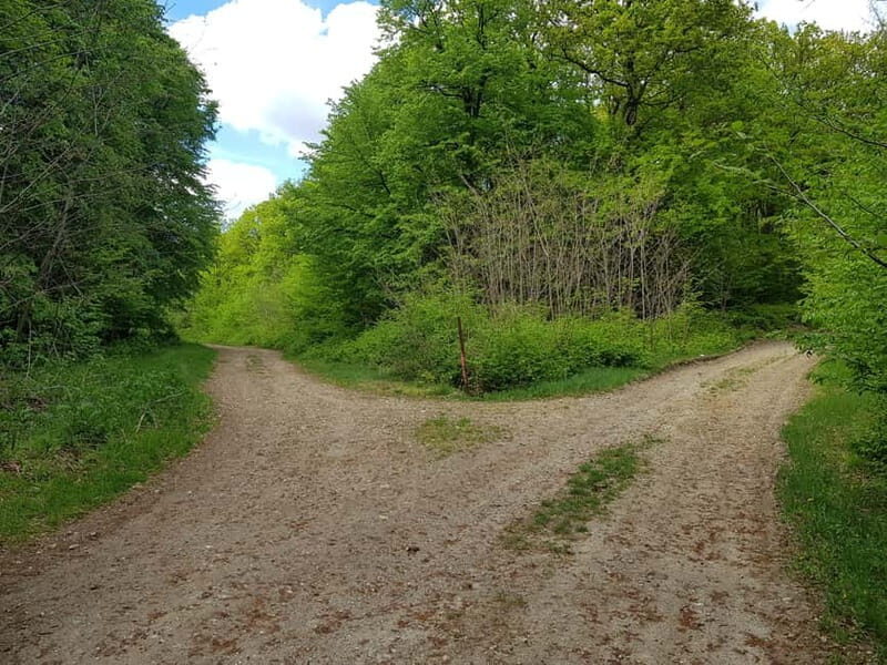 Discover the Charm of Guteria Hill/Sibiu Panorama - Why Choose This Tour?
