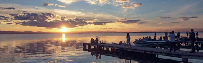 Discover the Devesa and the Albufera: Guided tour - Key Points