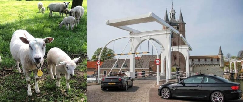 Discover the Dutch Countryside: Car Tour with Local Expert - Key Points