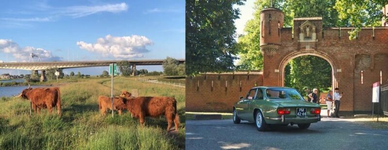 Discover the Dutch Countryside: Car Tour with Local Expert - Detailed Breakdown of the Itinerary