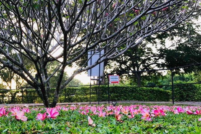 Discover the Enchanting Birds Park in Hambantota - Why Choose This Tour?