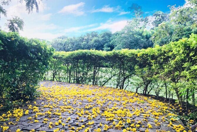 Discover the Enchanting Birds Park in Hambantota - What to Expect at Birds Park Hambantota