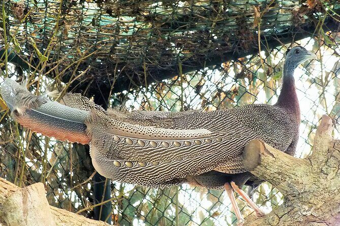 Discover the Enchanting Birds Park in Hambantota - FAQs