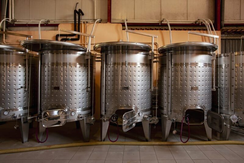 Discover the Essence of Ibizas rich wine culture - Why Visit This Ibiza Wine Tour?