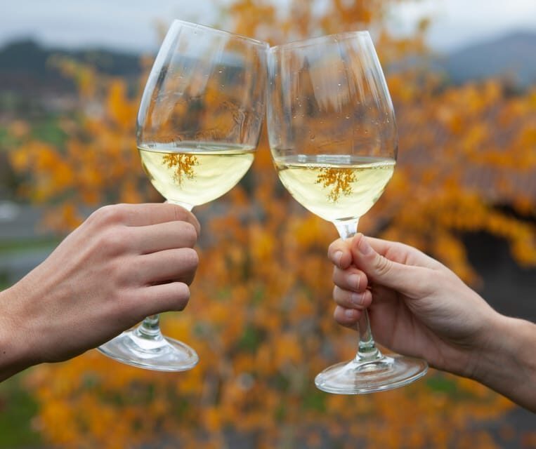 Discover the Essence of Txakoli Wine from San Sebastian - Final Thoughts