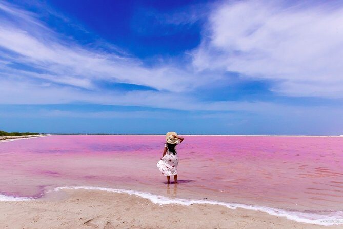 Discover the FABULOUS PINK WATERS in the Caribean - A Thorough Breakdown of the Experience