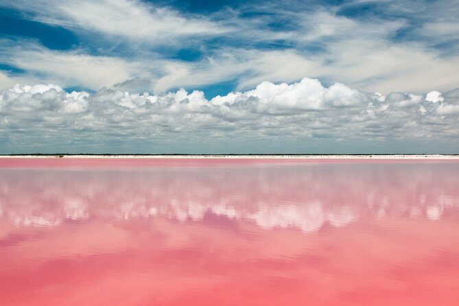 Discover the FABULOUS PINK WATERS in the Caribean - Final Thoughts
