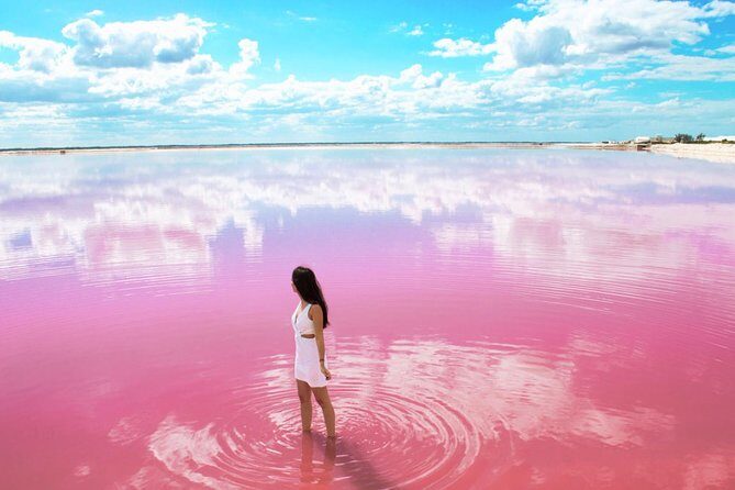 Discover the FABULOUS PINK WATERS in the Caribean - Frequently Asked Questions