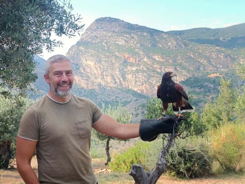Discover the fantastic world of birds of prey in the Pollino National Park. - An in-depth look at what this tour offers