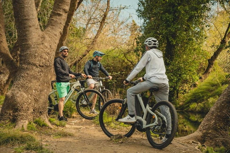 Discover the Heart of Crete on an E-Bike Adventure - Final Thoughts