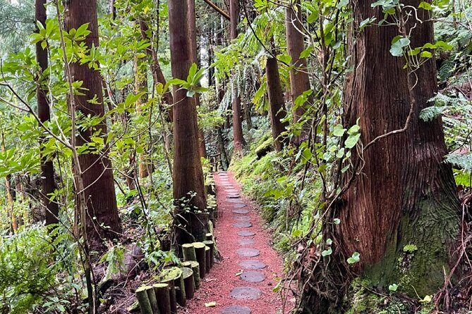 Discover the Hidden Gems of São Miguel - Full Day Private Tour - An In-Depth Look at the Tour
