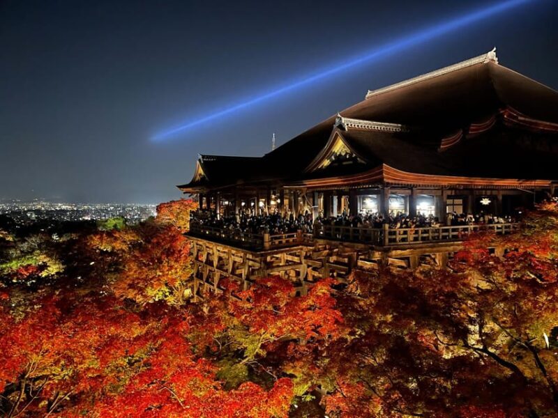 Discover the Highlights in Kyoto & Nara in 3 DAYS ! - An In-depth Look at the 3-Day Kyoto & Nara Tour