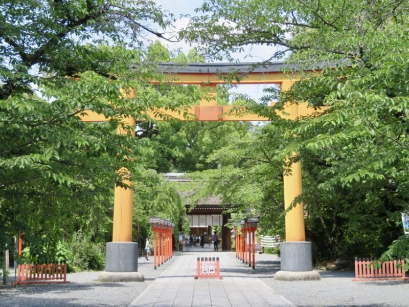 Discover the Highlights in Kyoto & Nara in 3 DAYS ! - Who Will Benefit Most?
