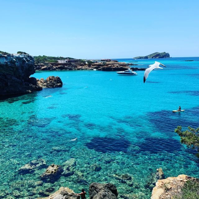 Discover the Ibiza beaches on a boat without license 8H - Broader Context: Is It Worth It?