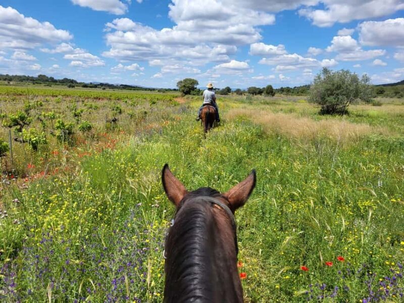 Discover the interior of Valencia on horseback - An In-Depth Look at the Experience