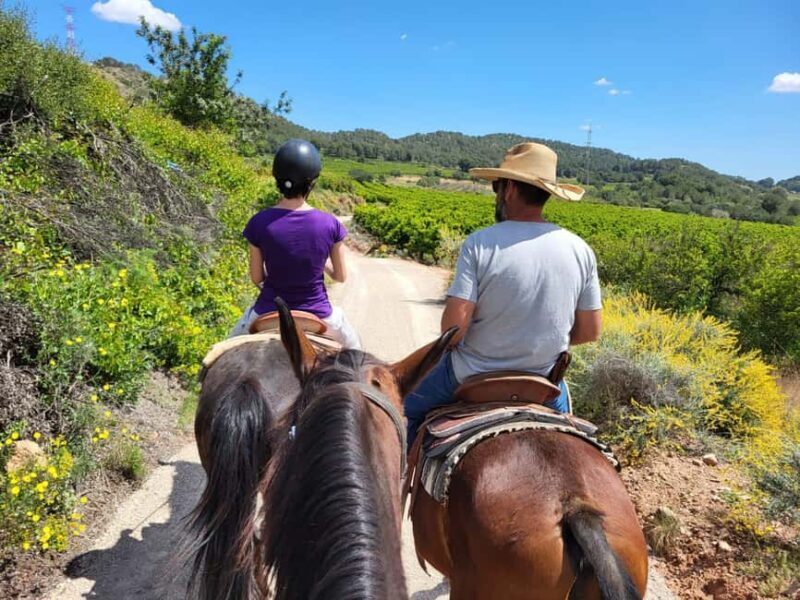 Discover the interior of Valencia on horseback - Final Thoughts