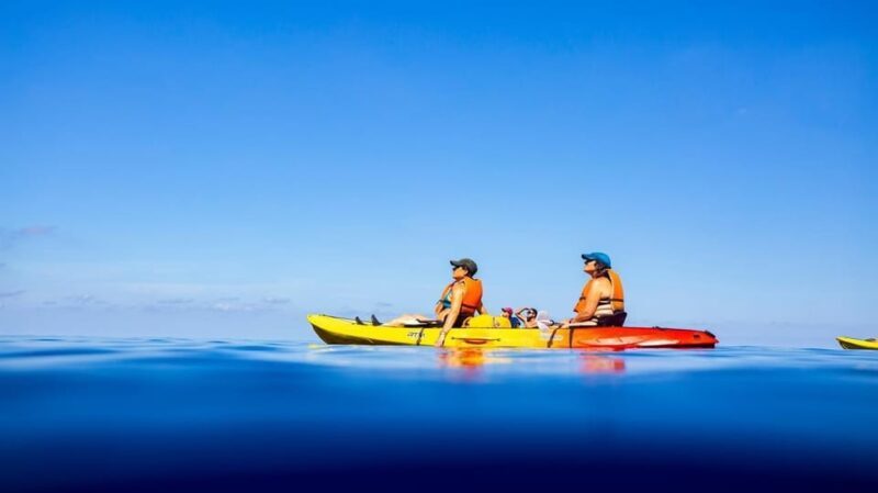 Discover the Island Dragonera by kayak and on foot - Who Will Love This Experience?