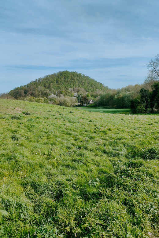 Discover the Liège nature on Trail / hiking-running - Discover the Liège Nature on Trail / Hiking-Running: A Practical Guide