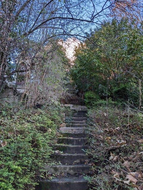 Discover the Living Beauty of Père-Lachaise - An In-Depth Look at the Père-Lachaise Tour