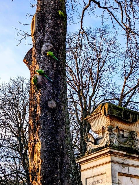 Discover the Living Beauty of Père-Lachaise - Final Thoughts
