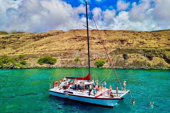 Discover the Magic of Coral Gardens Turtle Town - Maalaea Harbor - Frequently Asked Questions