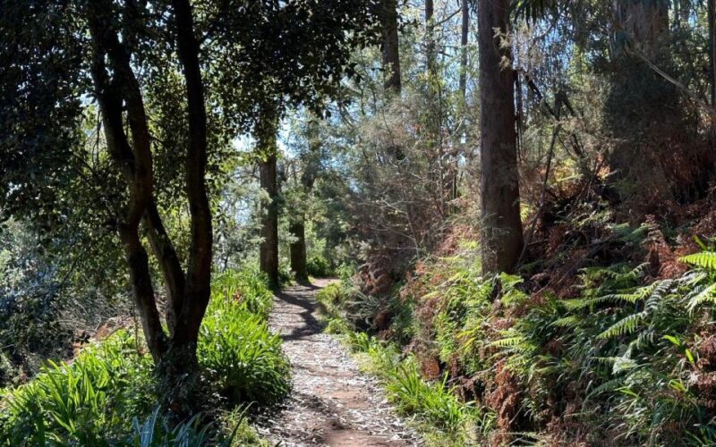Discover the Paradise Valley - a quick escape for Everyone - FAQ