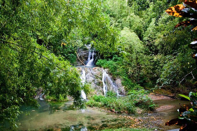 Discover the Rainforest - FAQs