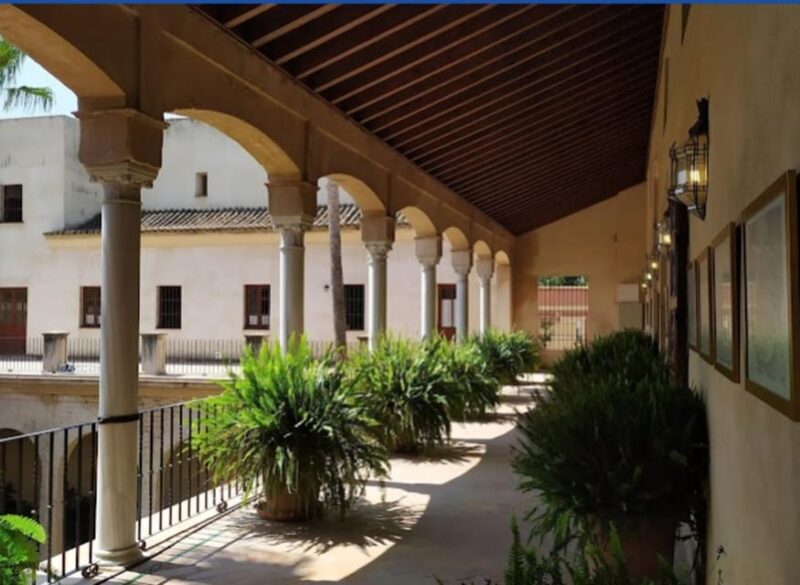 Discover The Secret Sevilla - The Sum Up: An Authentic, Budget-Friendly Seville Experience