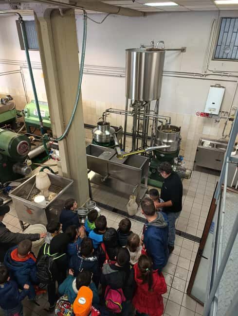 Discover the Secrets of Olive Oil: Oil Mill Tour and Tasting Experience - Key Points