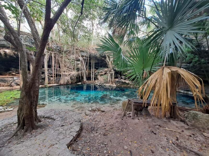 Discover the Serenity: A Tour of the Hidden Cenotes (PVT) - An In-Depth Look at the Experience
