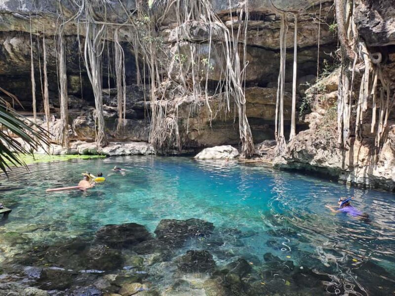 Discover the Serenity: A Tour of the Hidden Cenotes (PVT) - Who Will Love This Tour?