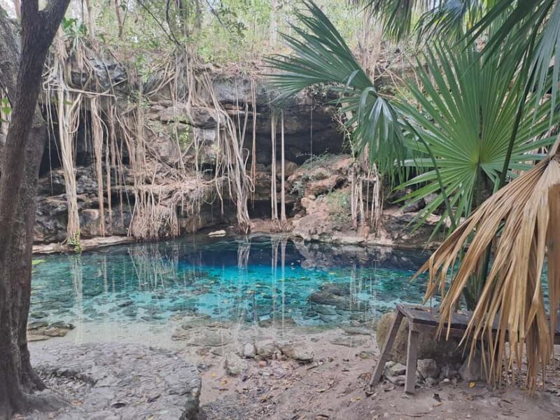 Discover the Serenity: A Tour of the Hidden Cenotes (PVT) - FAQs