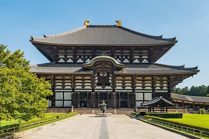Discover the Timeless Charm and Natural Beauty of Nara - Final Thoughts
