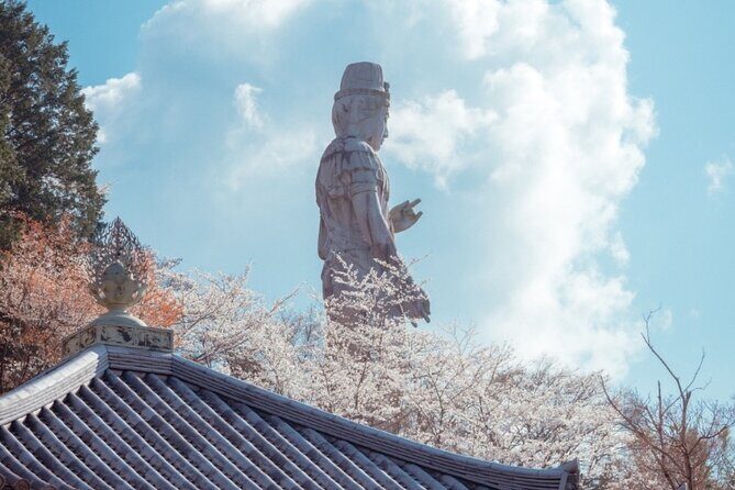 Discover the Timeless Charm and Natural Beauty of Nara - Whats Included and What to Expect