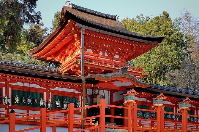 Discover the Timeless Charm and Natural Beauty of Nara - Final Thoughts